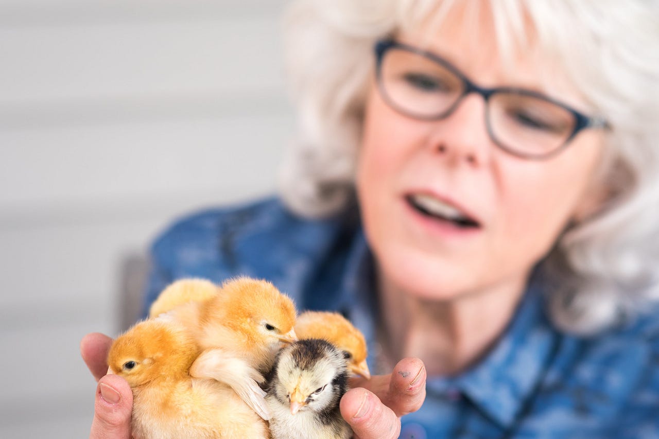 Coming Down to Earth with Barbara Brown Taylor | Substack