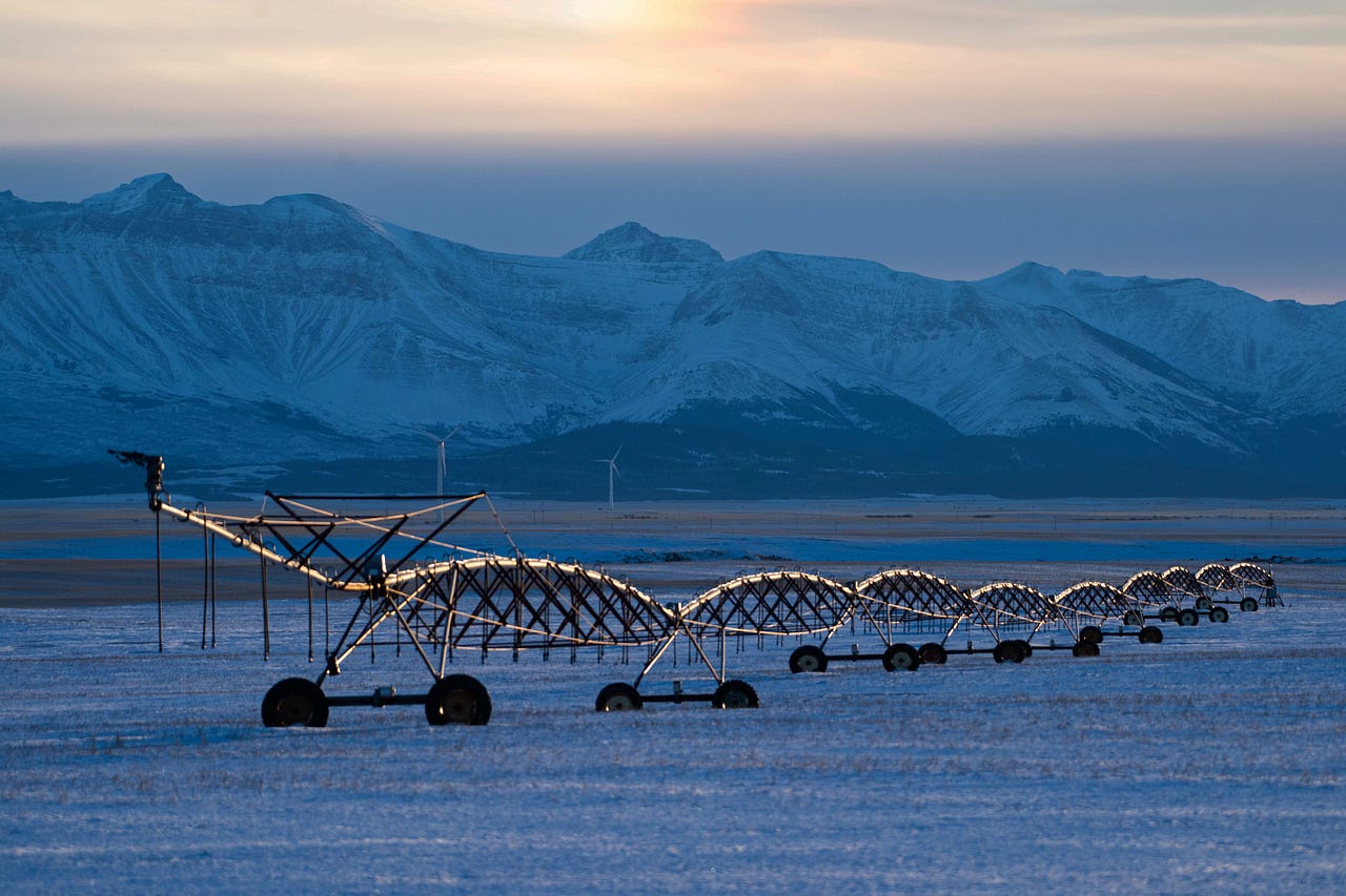 Water For Food | David Thomas | Substack