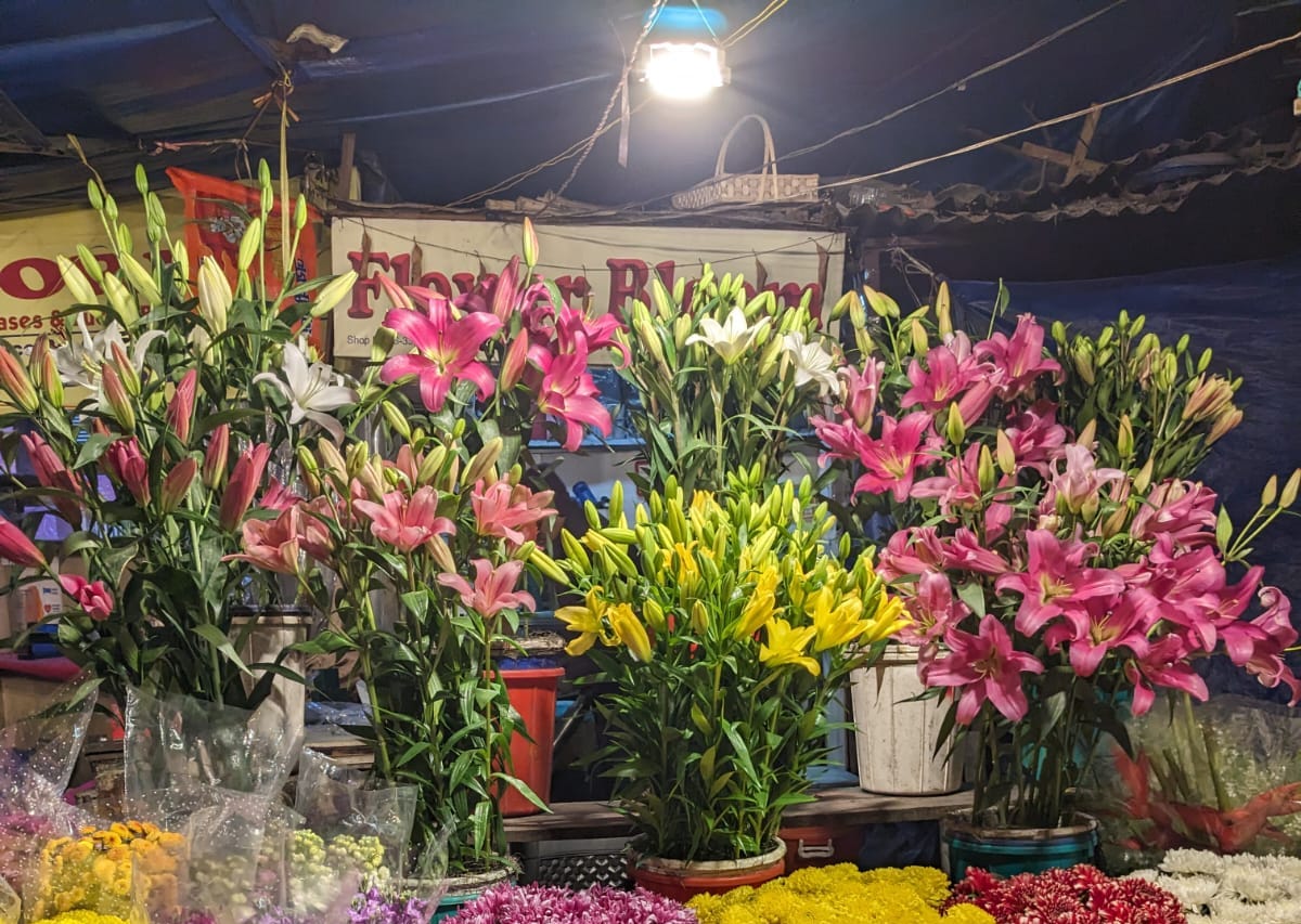 Medha’s Substack | Medha V | Substack