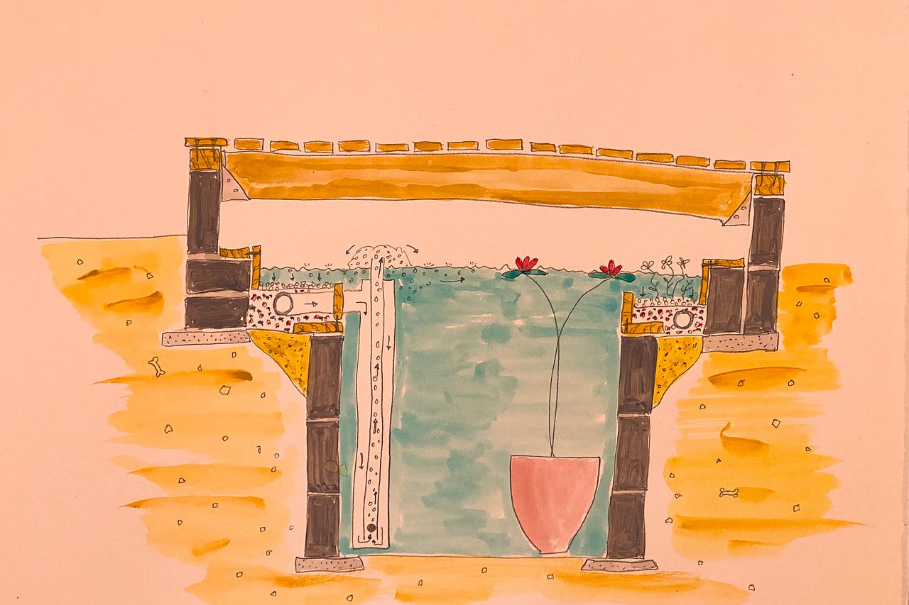 Organic Pools by David Pagan Butler | Substack