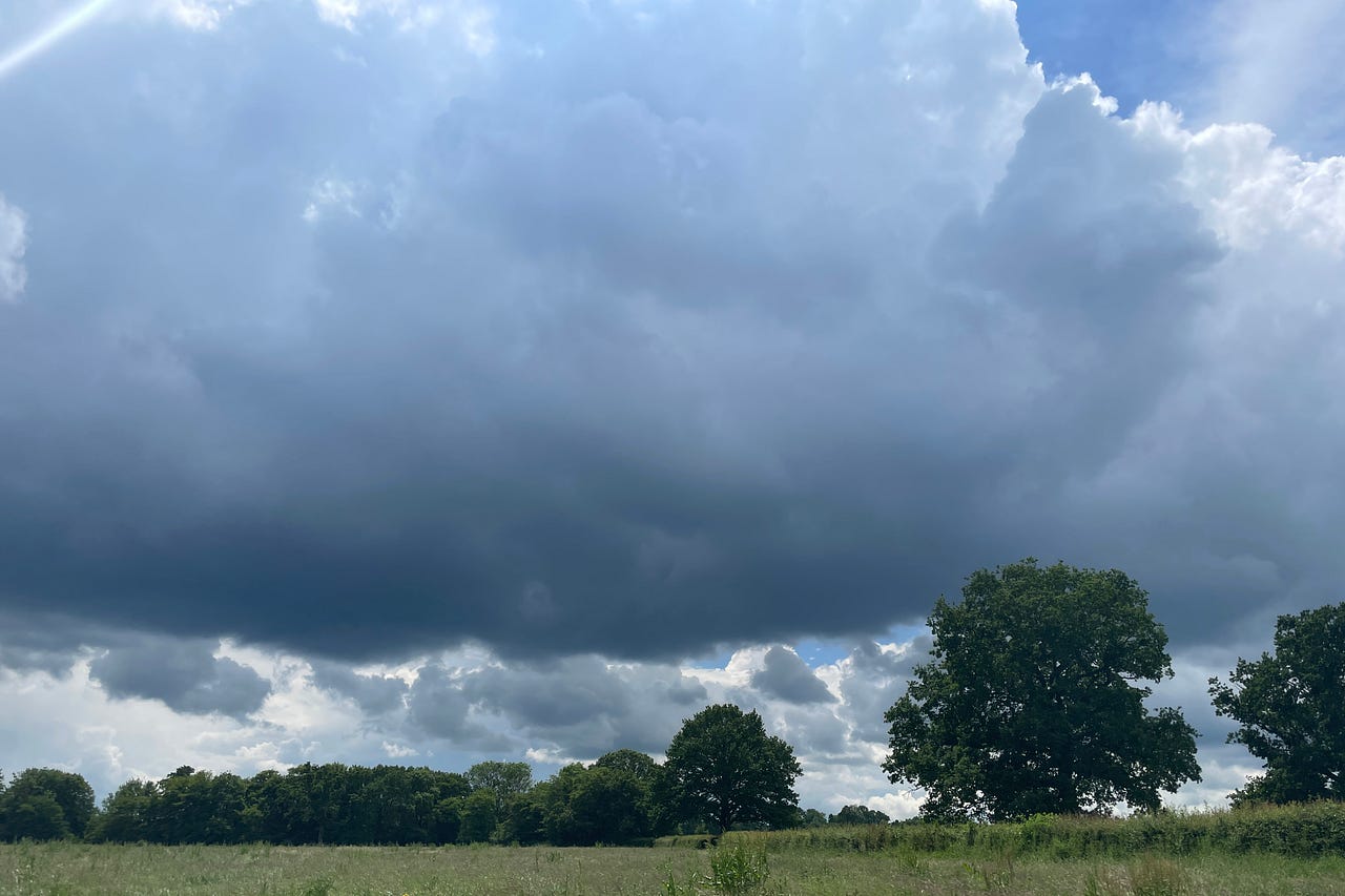 Witness Marks by Melissa Harrison | Substack