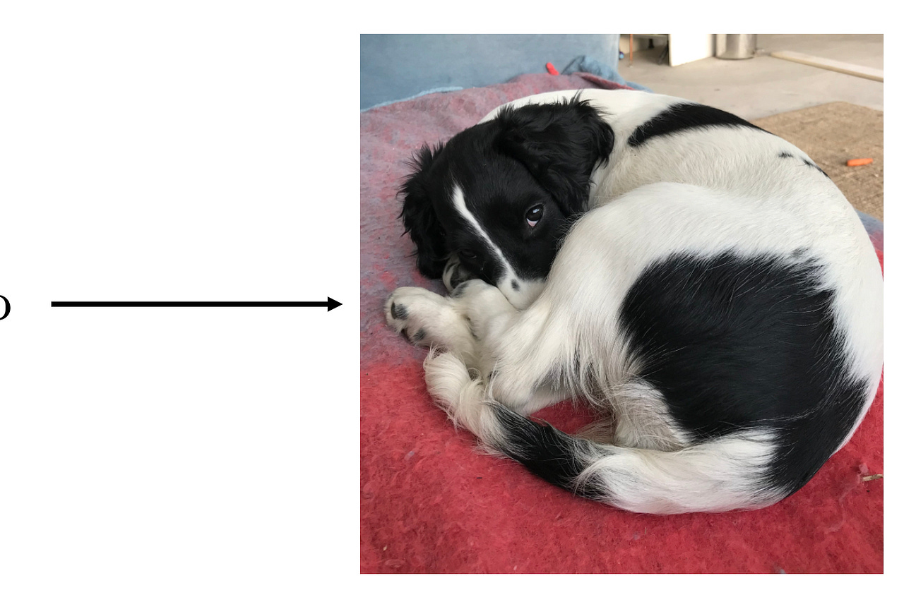 Analytic Lens | Benjamin Santos Genta | Substack