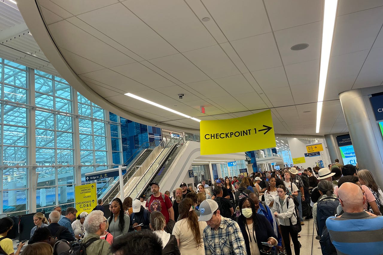 Crown Heights | Amy Lippoldt | Substack