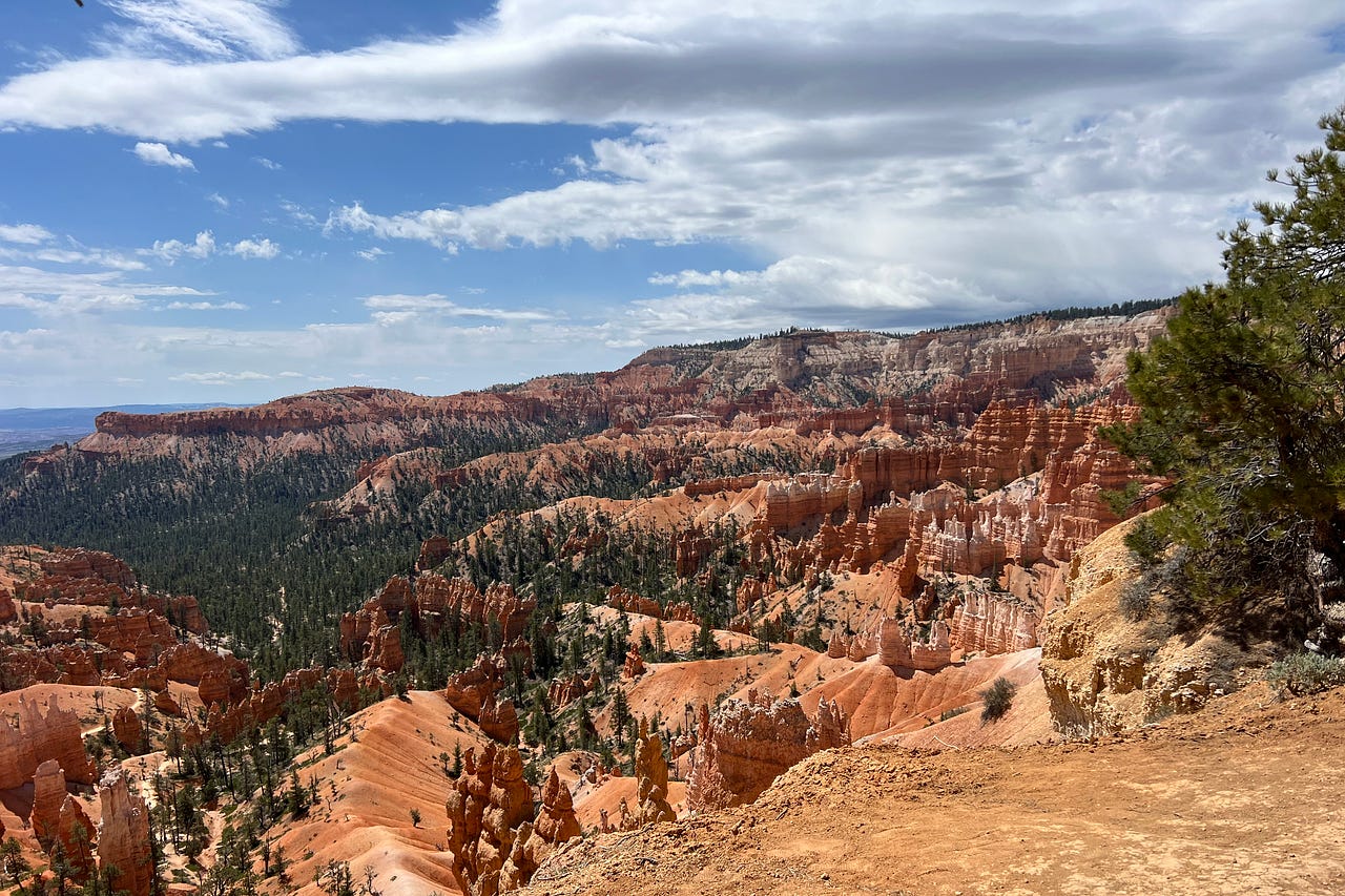 OMEGA MALE | DAN MACKENZIE | Substack