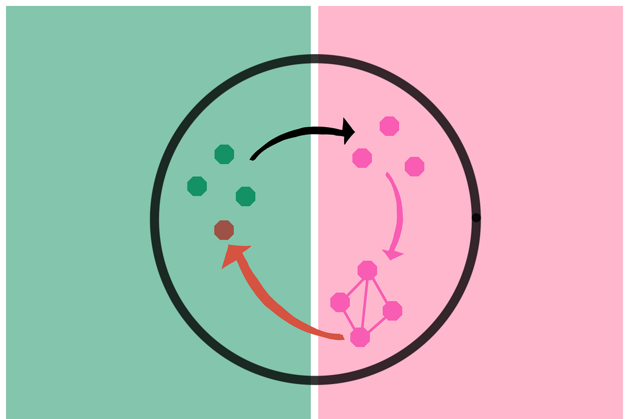 Beyond Certainty | Tim West | Substack