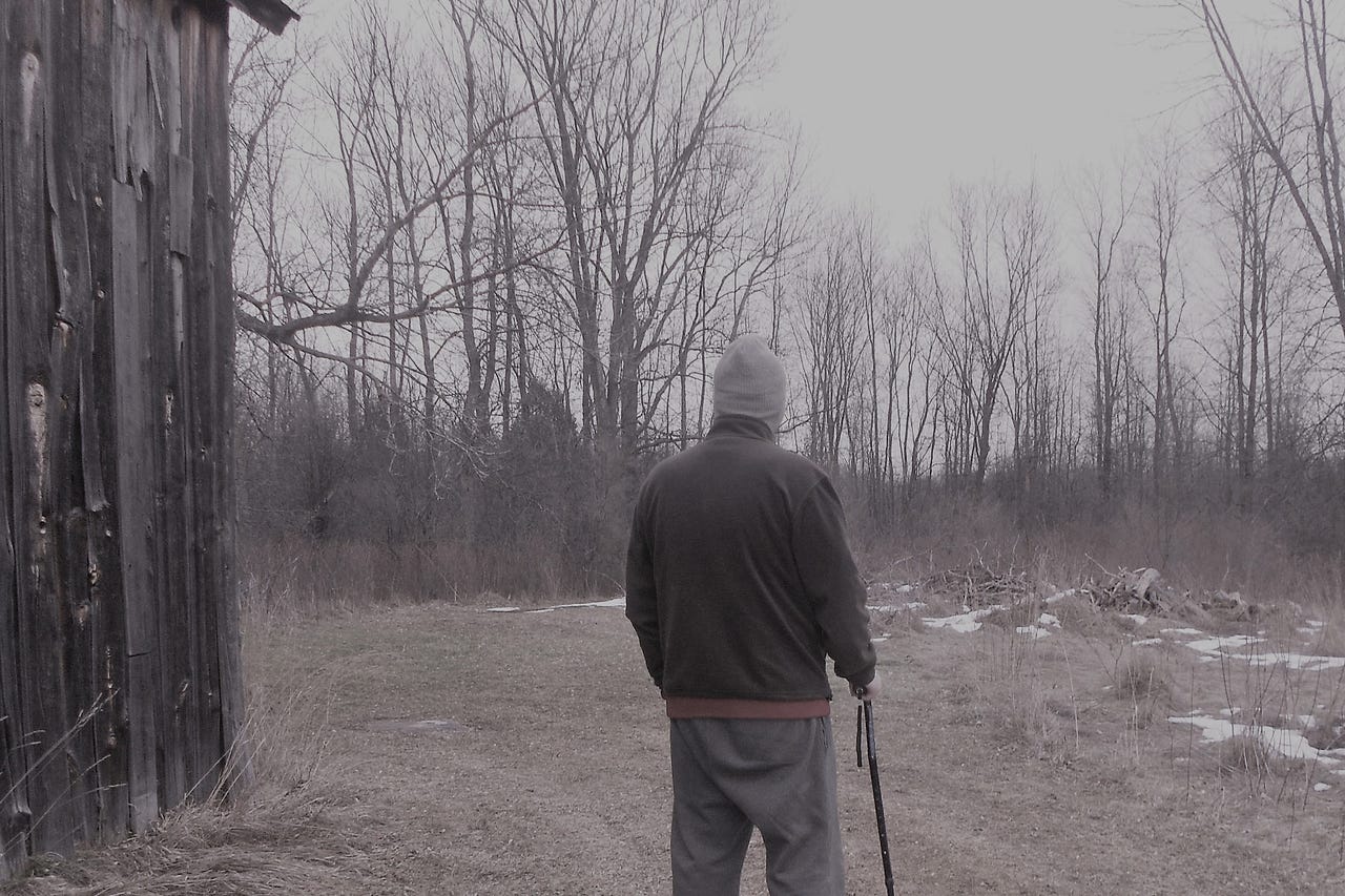 The Pine Desk | Barbara Briggs Ward | Substack