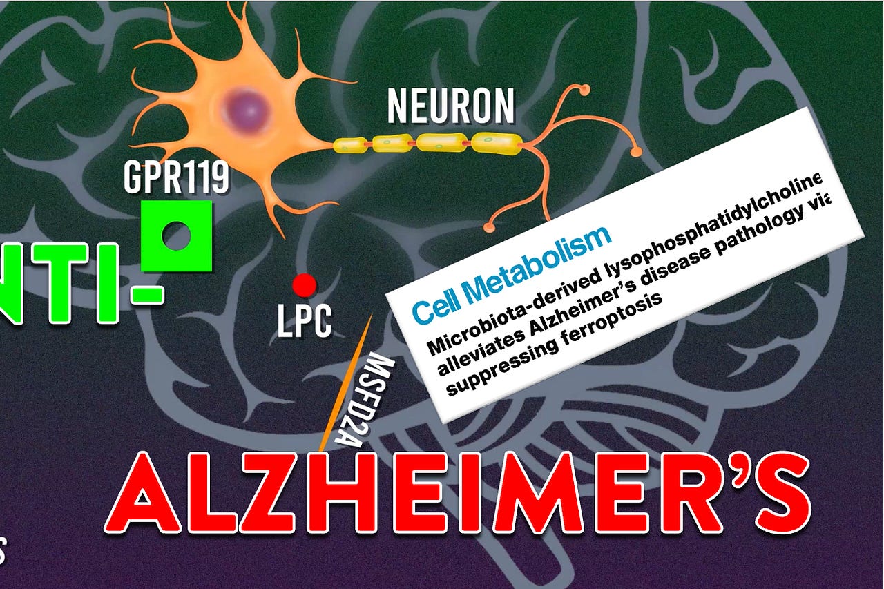 Nicholas’s Substack | Nick Norwitz | Substack