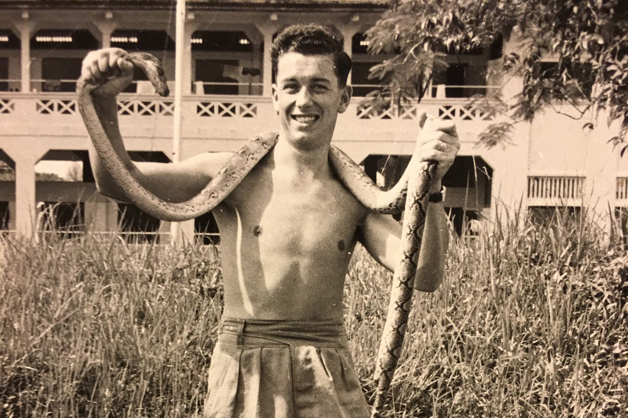 The Egg And The Rock | Julian Gough | Substack