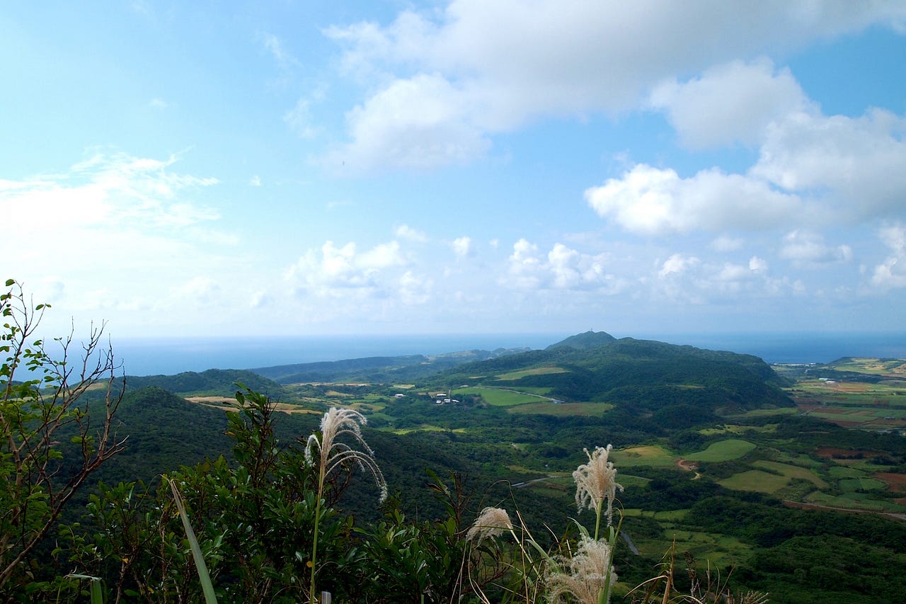 Reiho Takeuchi’s Substack | Substack