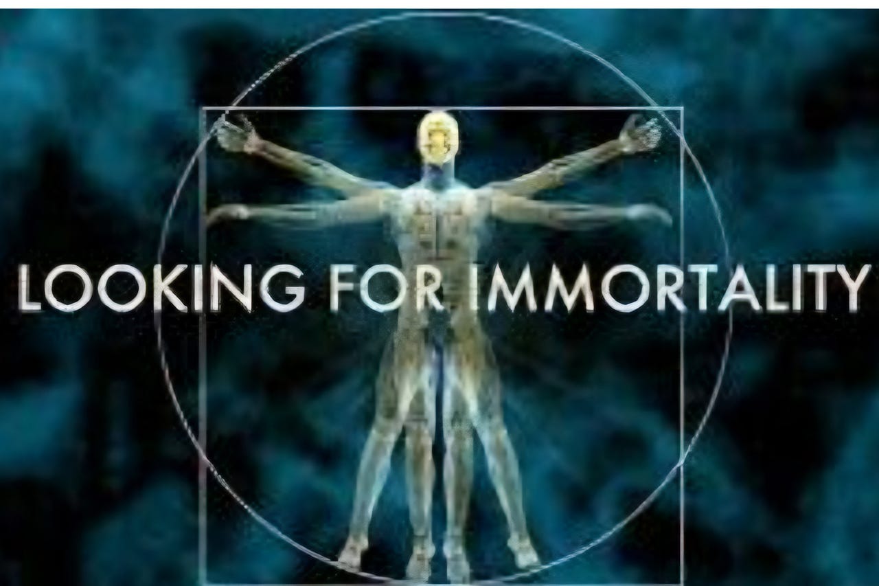 New Fire Energy | Substack