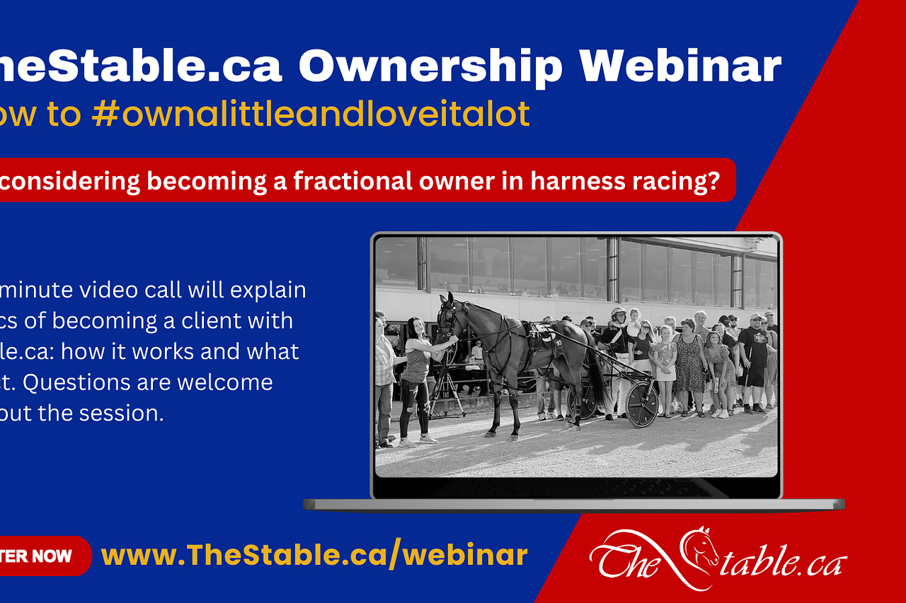 In the Money Media Harness Players Newsletter | ITM Harness Players Newsletter | Substack