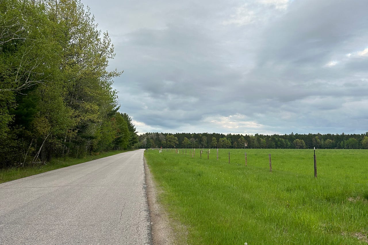 Ali’s Substack | Substack