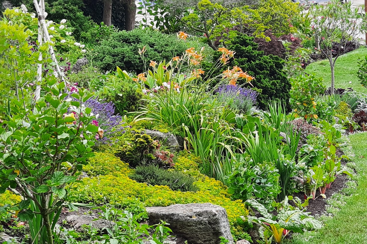 Luke’s Substack | Luke Thompson | Substack