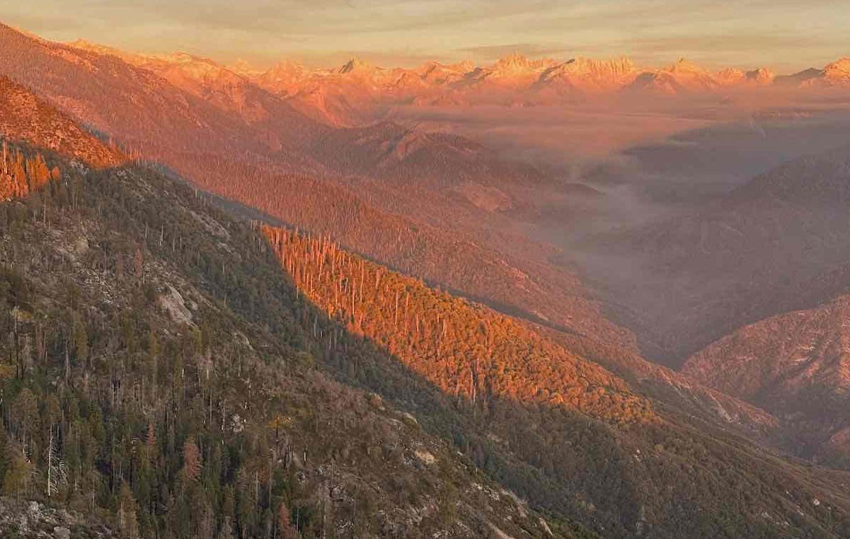 The Skeptical Cardiologist | Substack