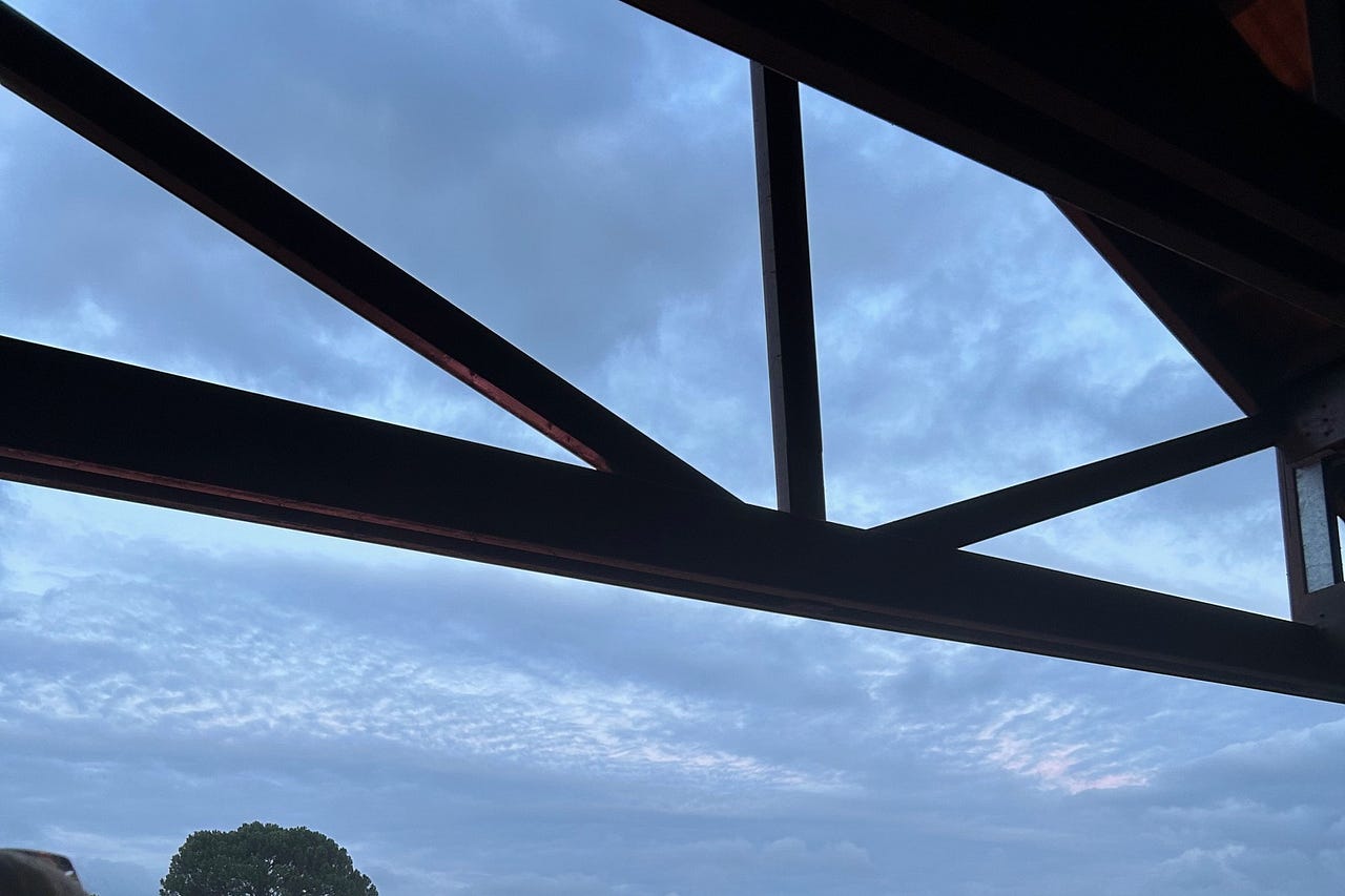 Wheelchair, Bound | Emily Wojcik | Substack