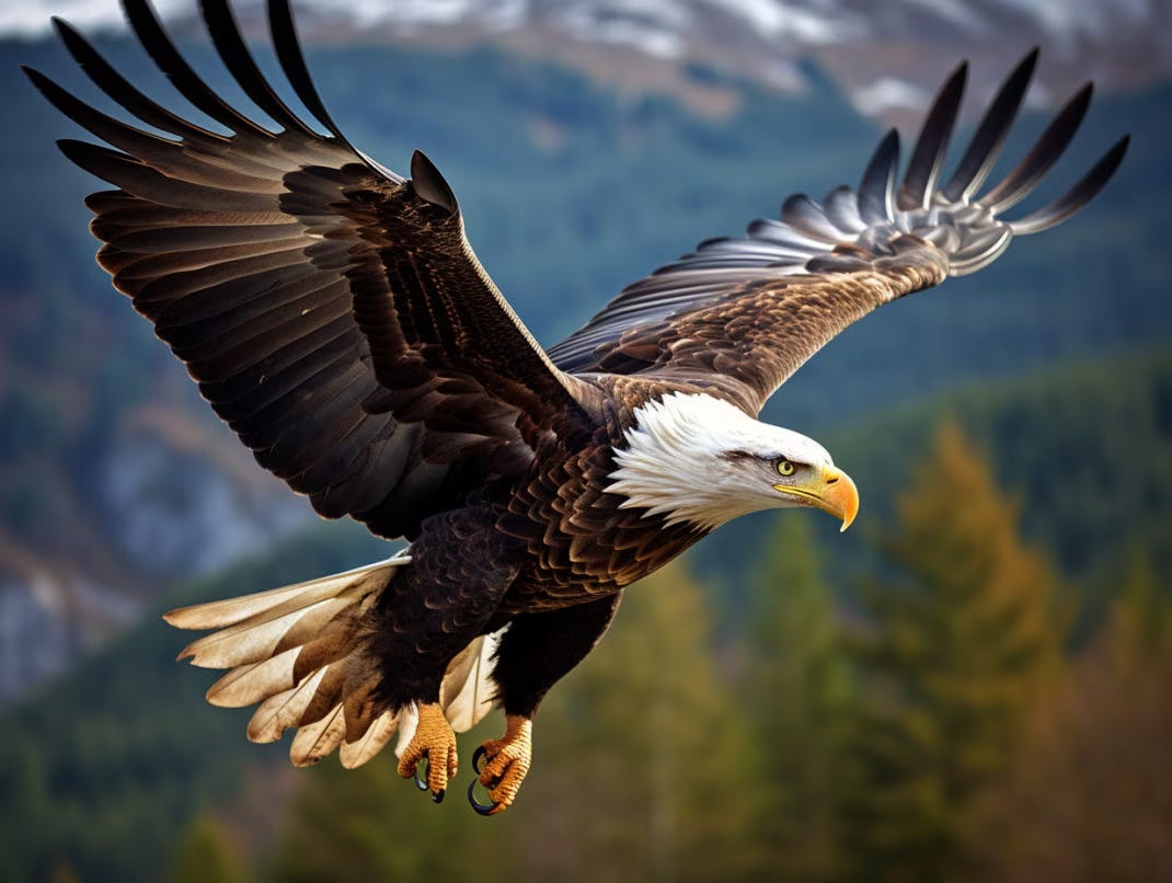 Macro Charts | Substack