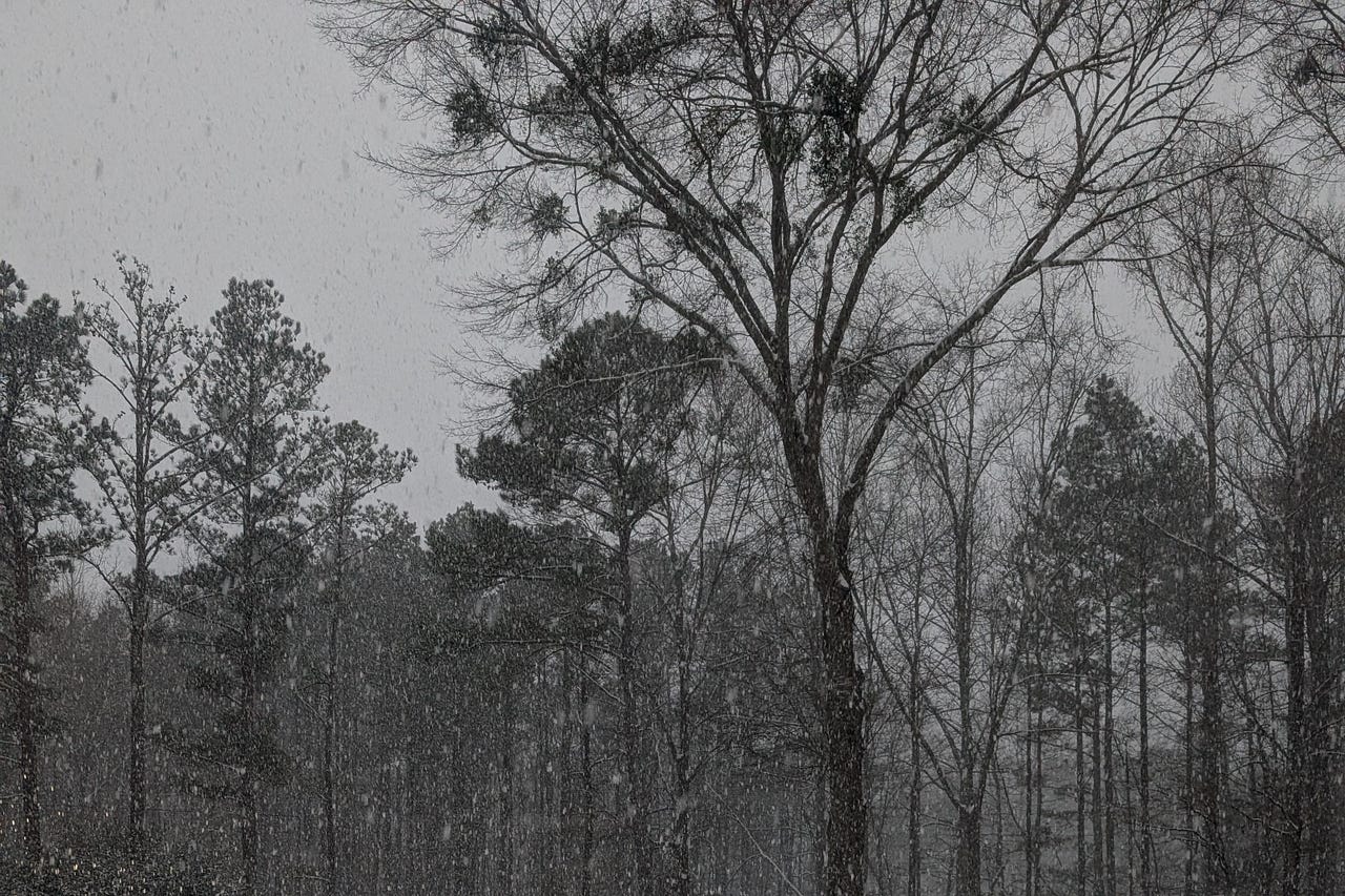 Serena’s Substack | Serena Wygergangs | Substack