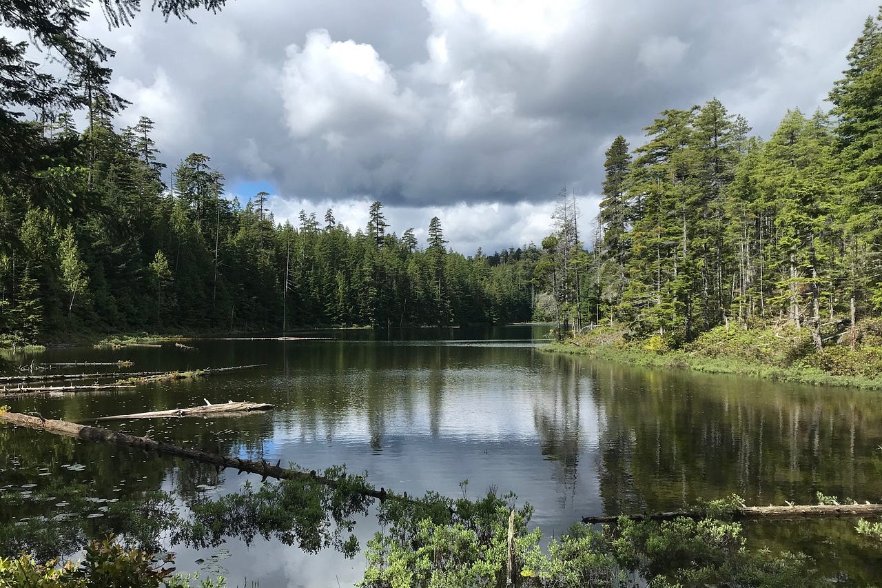 From the Otherlands | Heather Fawcett | Substack