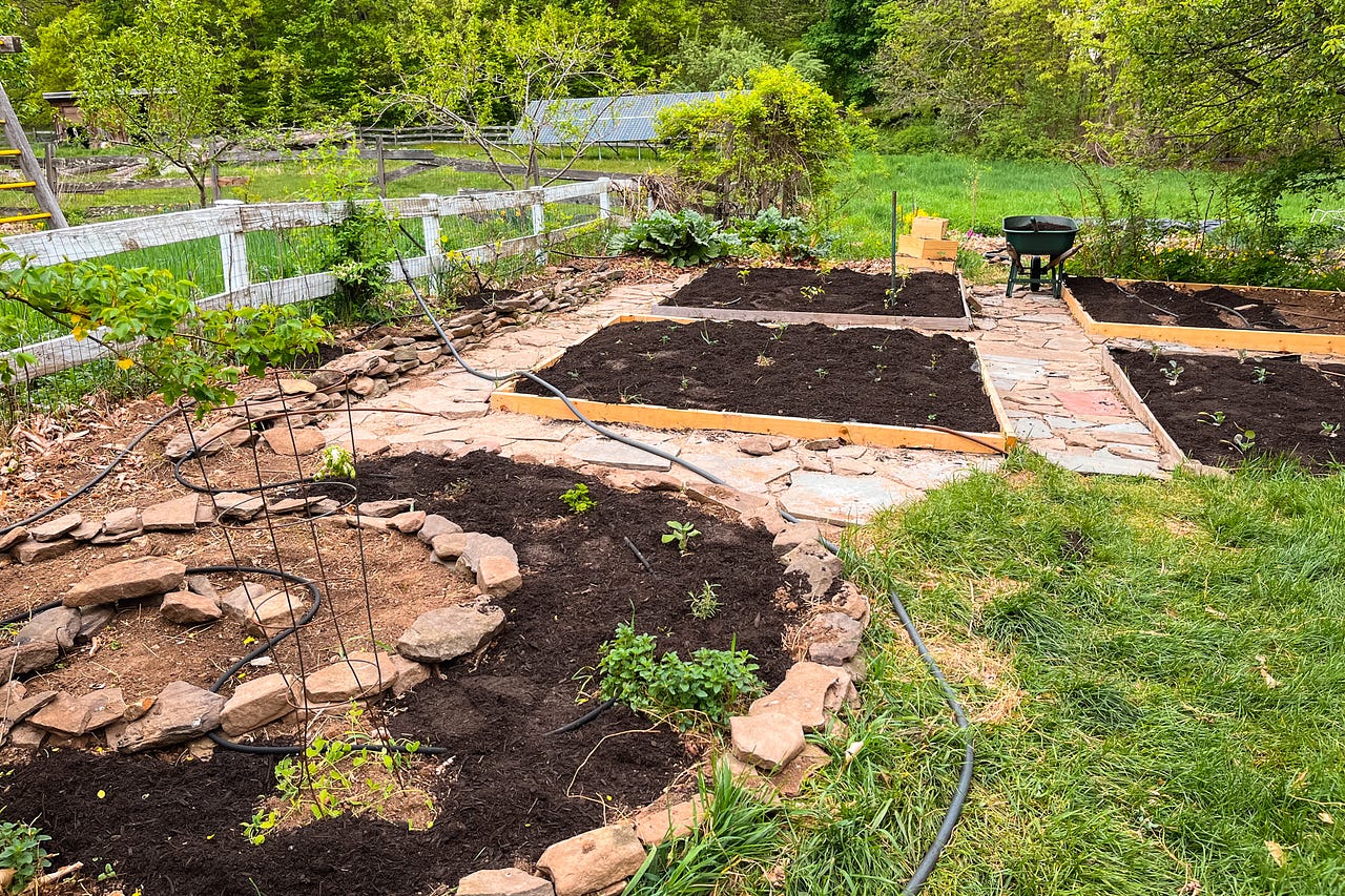 Backyard Farming Connection | Gretchen | Substack