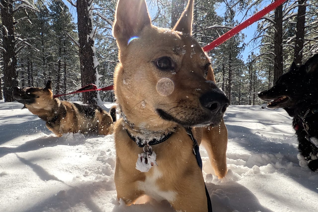 UnRambling | Sean Openshaw | Substack