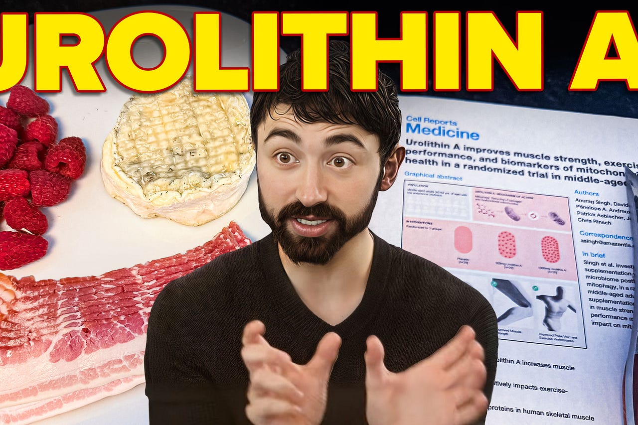 Nicholas’s Substack | Nick Norwitz | Substack