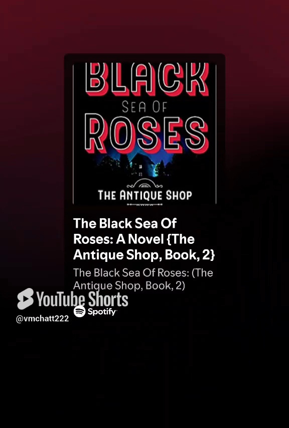 Vanessa’s Substack - Author | Vanessa M Chattman | Substack