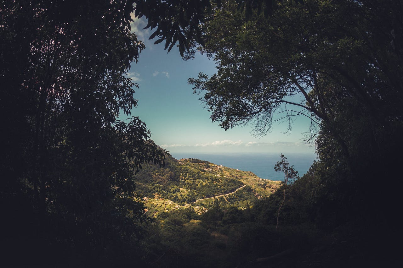 The Griefness | Naila Francis | Substack