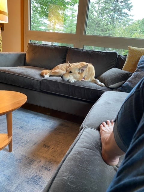 On the Drift | Holli | Substack