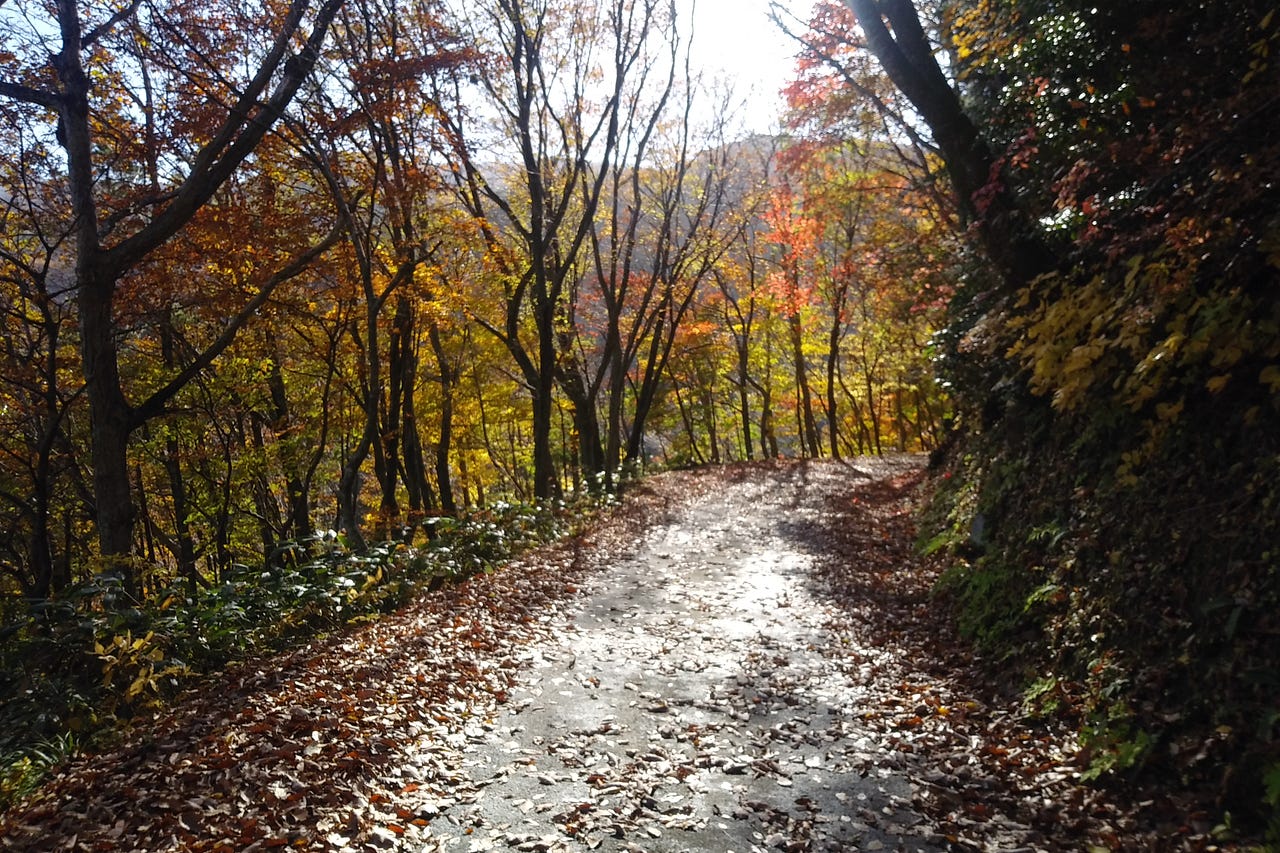 Less Known Japan | Francis Turner | Substack