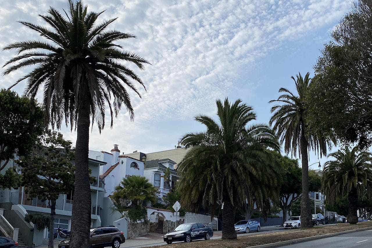 Mary Rose Cook’s Newsletter | Substack