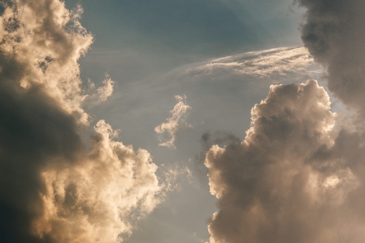 Thrive | Louise Heite | Substack