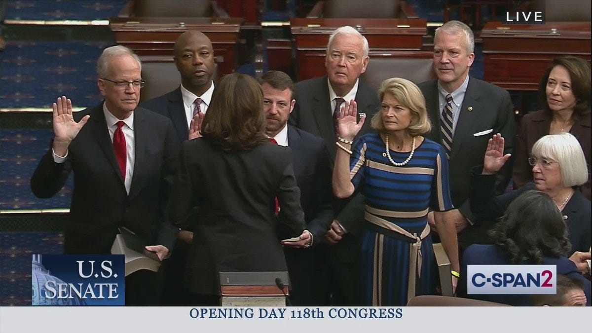 The Delegation | Zack Brown | Substack