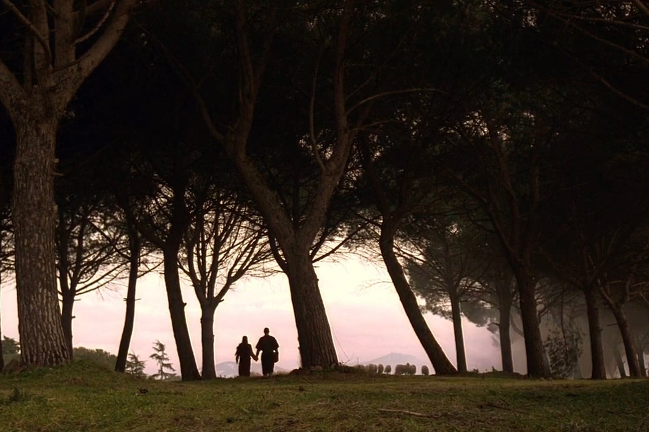 The Usual Subjects | Timothy Lawrence | Substack