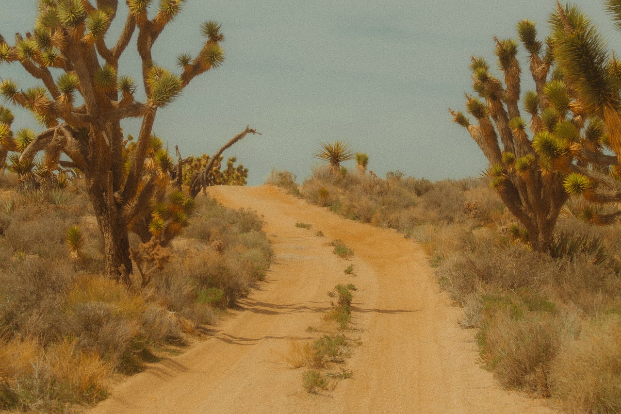 Photographs | Max Julien Lalanne | Substack