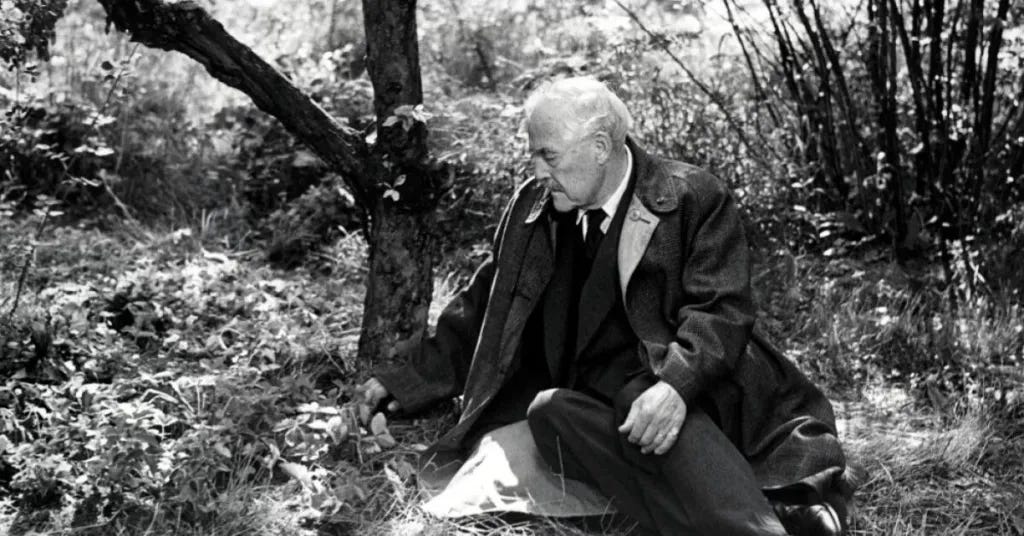 Quasi Vero | Ricky Wesa | Substack