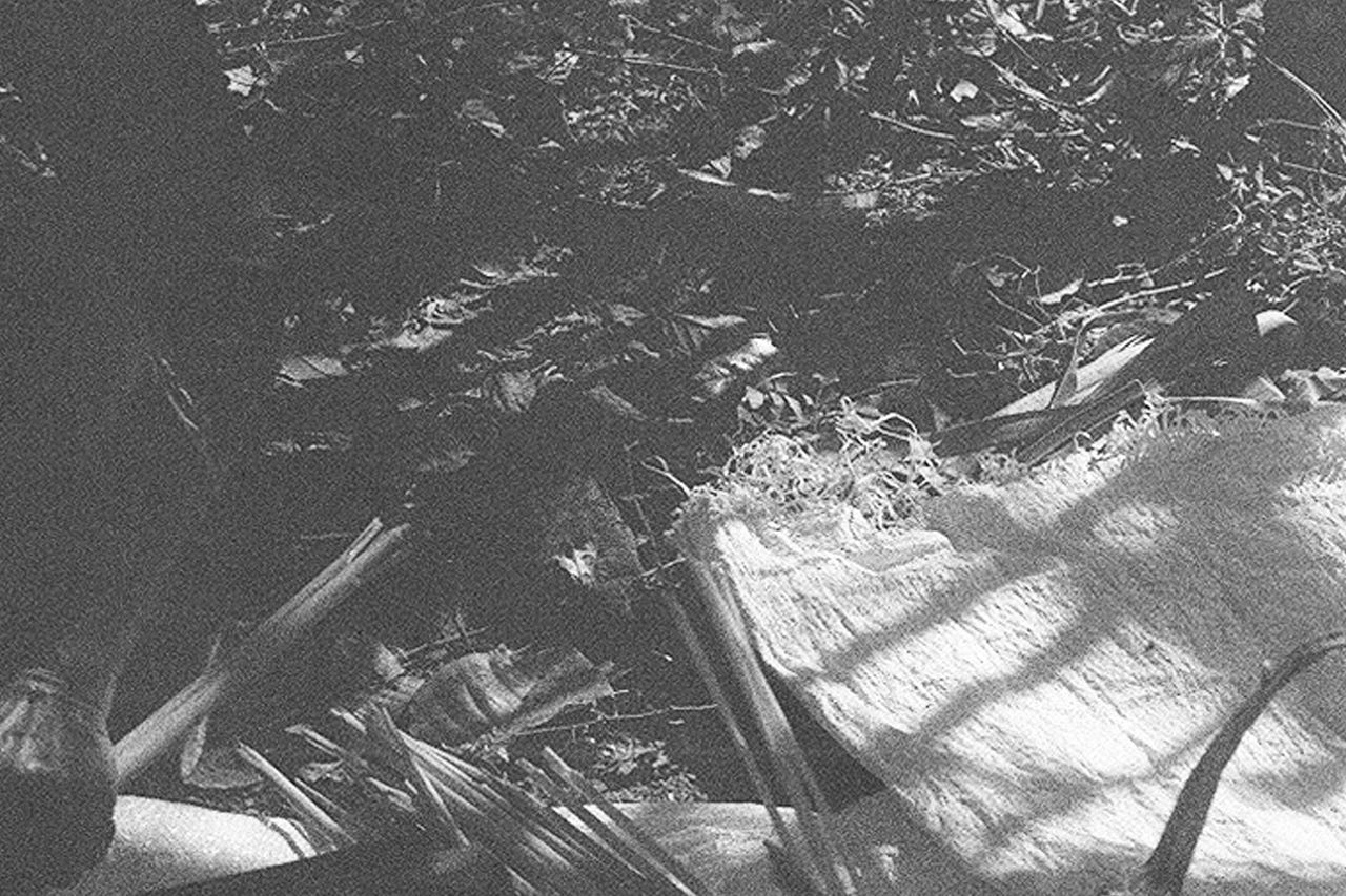 Riotous Girls | Substack