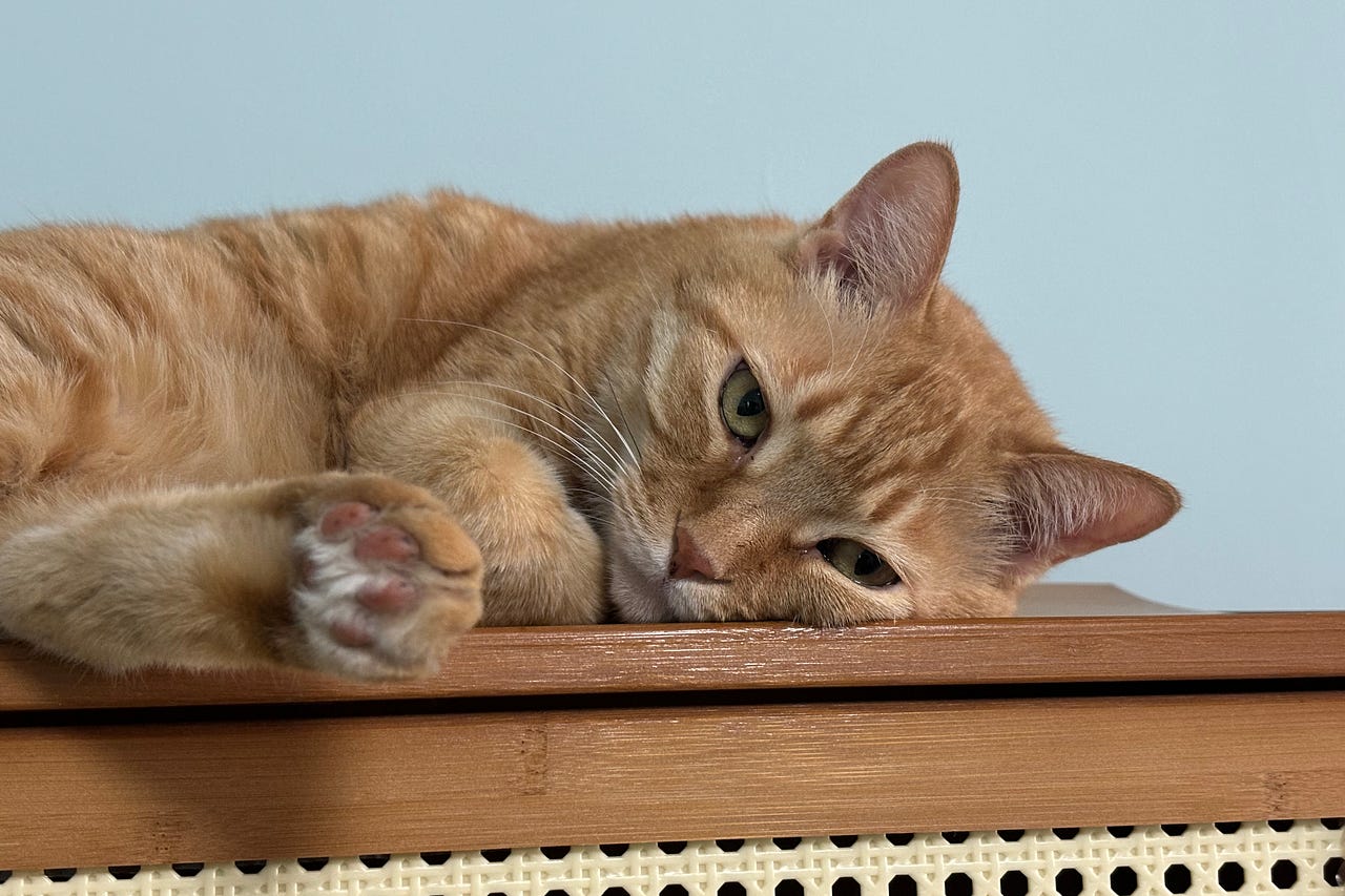 汉洋叭叭 | 汉洋 MasterPa | Substack