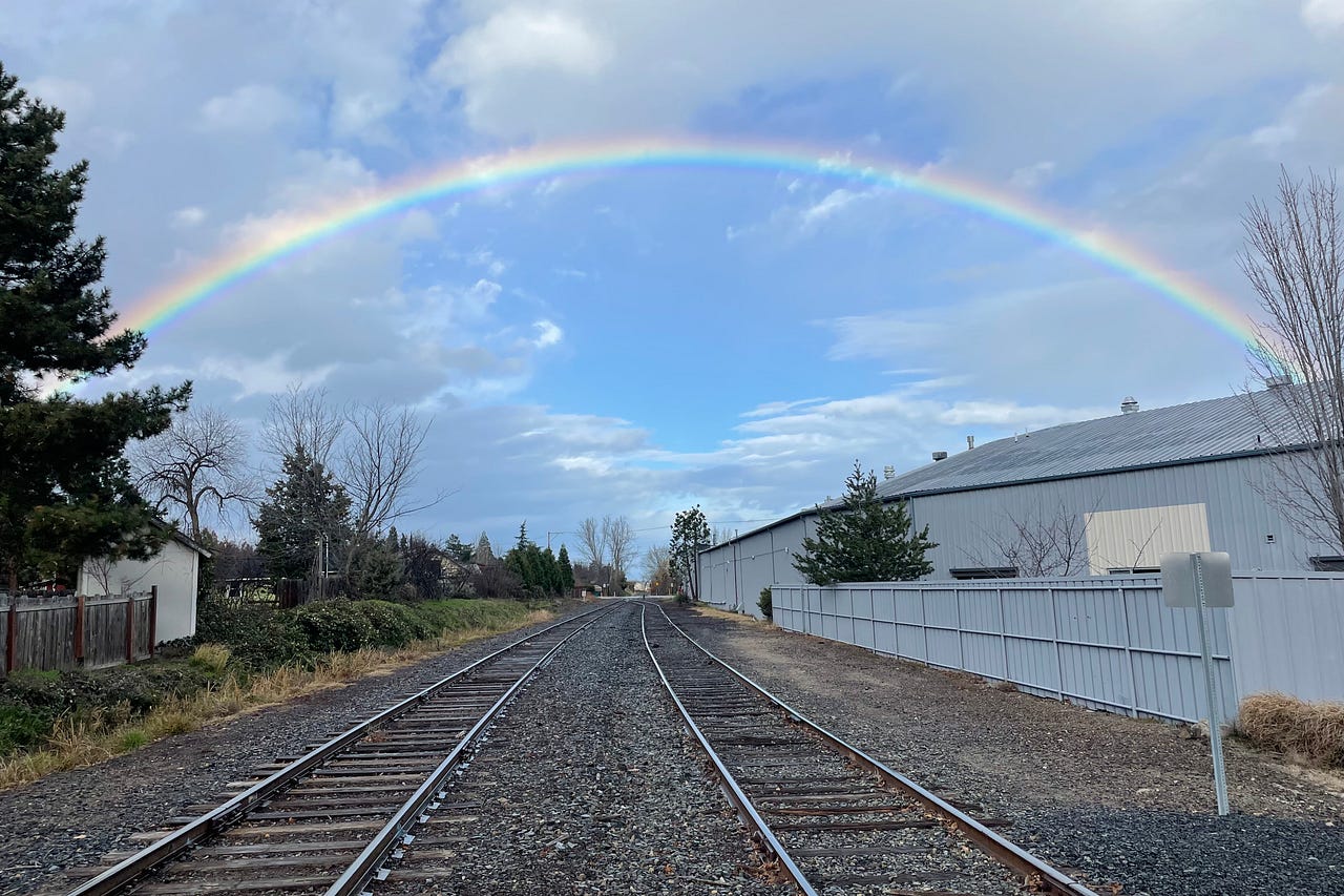 Meg’s Substack | Meg Wade | Substack