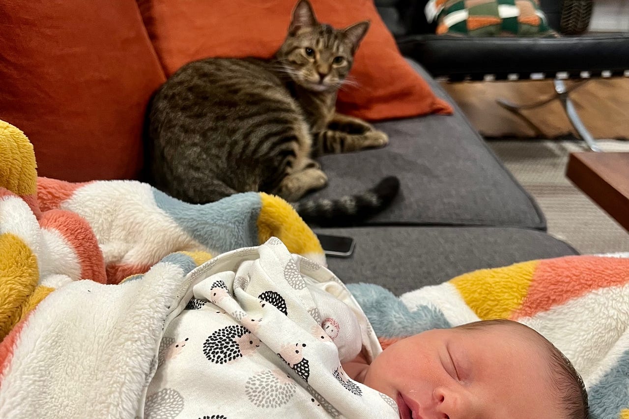 Ben’s Substack | Ben Davis | Substack