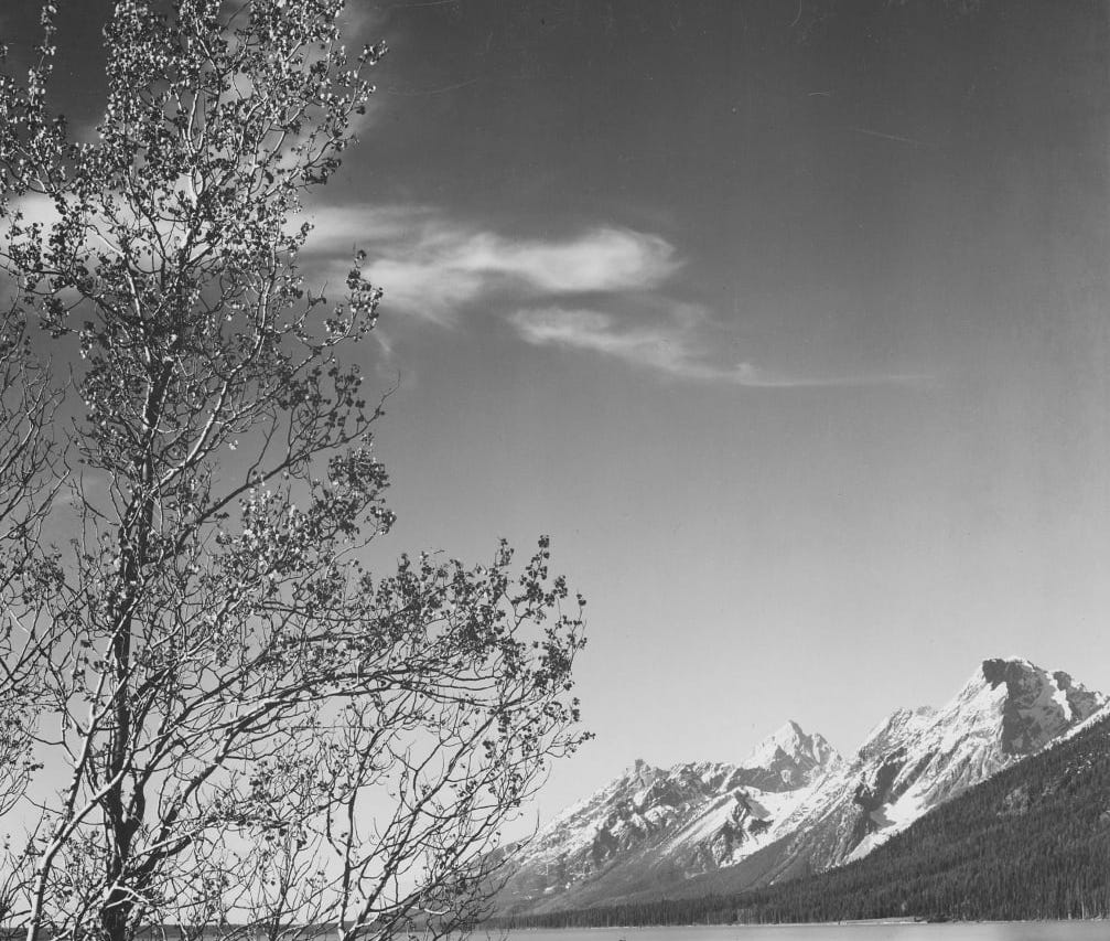 Black’s Substack | Black Lectures | Substack