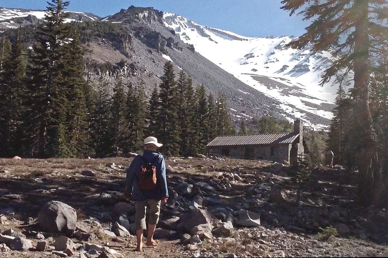 Divine Messages of Love & Prosperity by Terry Cole-Whittaker | Substack