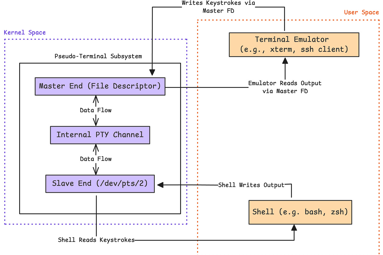 Devtrovert | Phuong Le | Substack