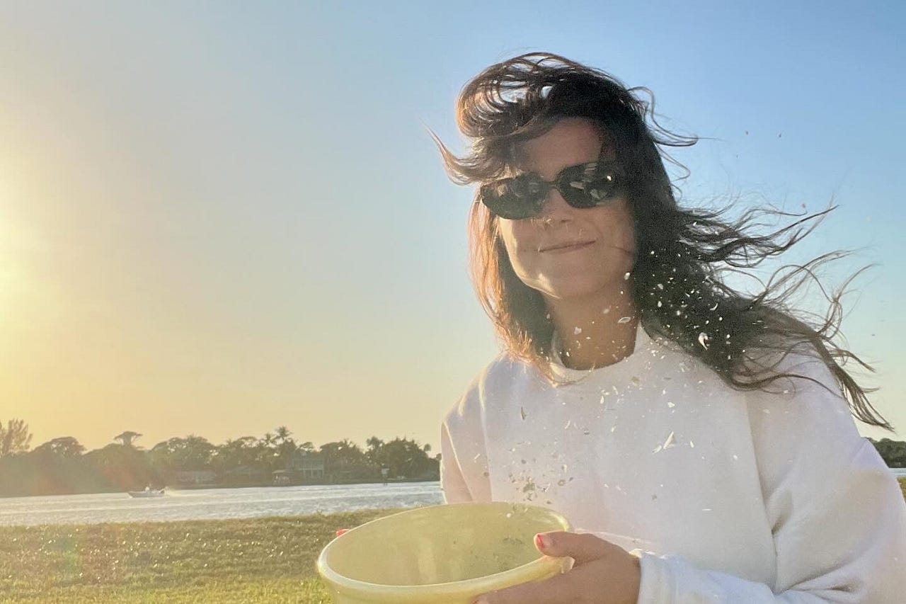 The Connection Chronicles | Chloë Drimal | Substack