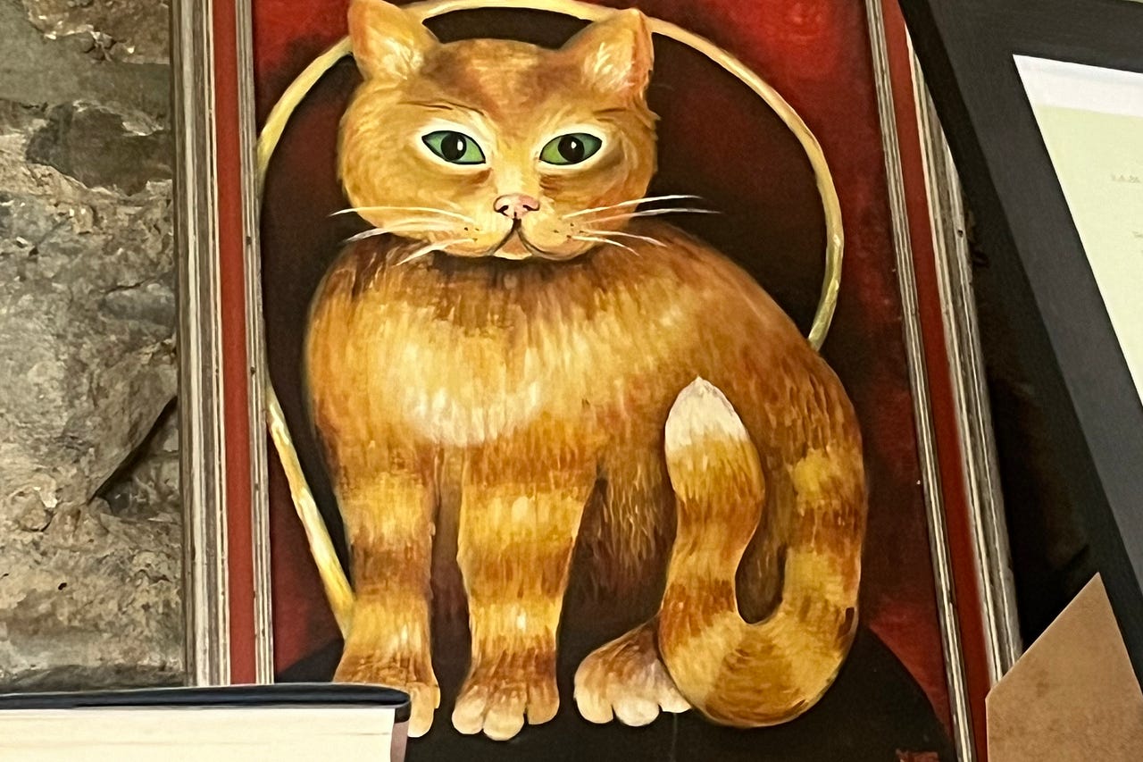 Camilla Grudova | Substack