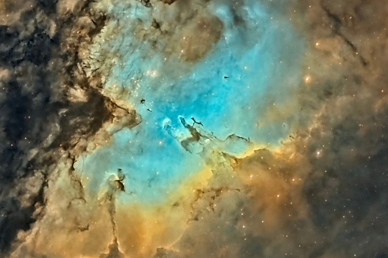 Alpaca Analytics | Alex Weinstein | Substack