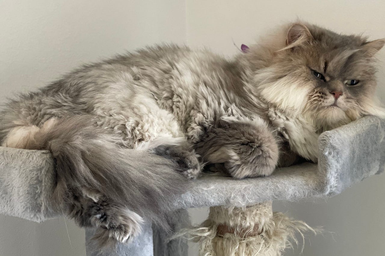 Dave’s List | Dave Briggs | Substack