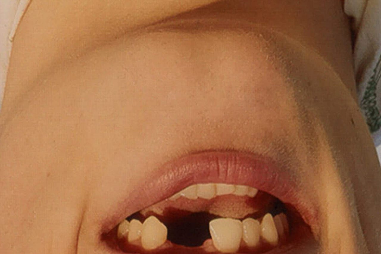 Heaventree | Sean | Substack