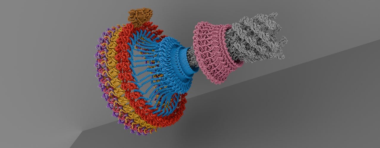 Macroscience | Tim Hwang | Substack