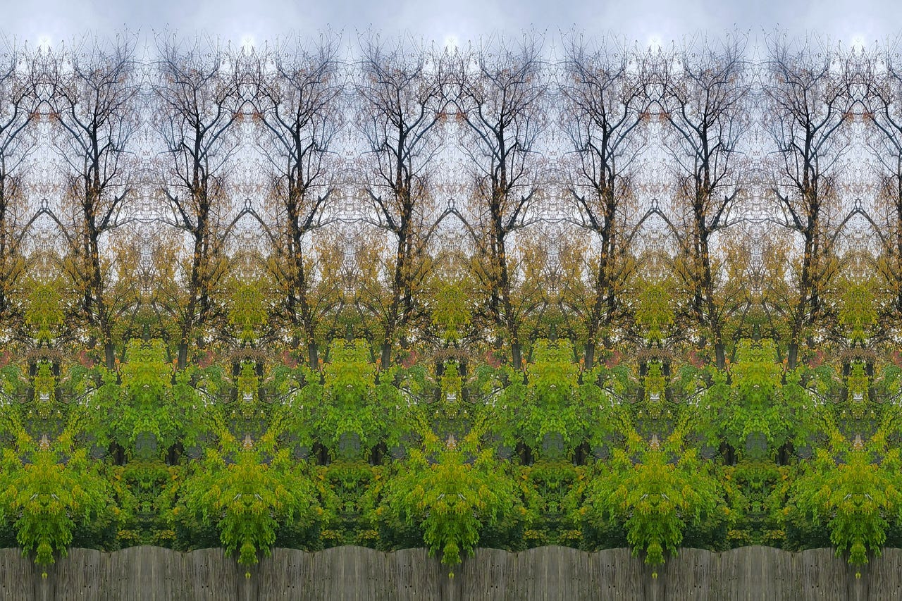 Antoinette’s Newsletter | Antoinette Palmieri | Substack