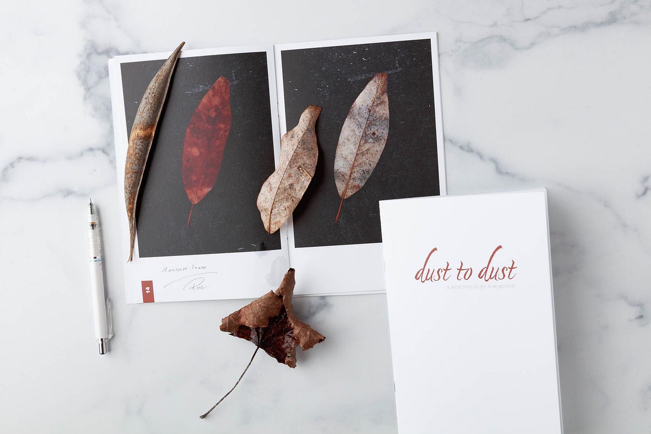 Paper Arts Collective Newsletter | Substack